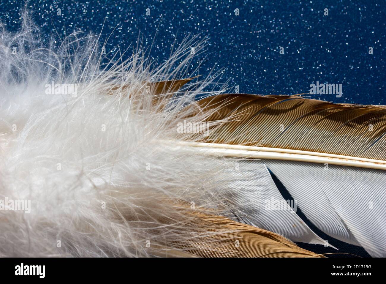 Full frame macro art abstract still life background of natural blue ...