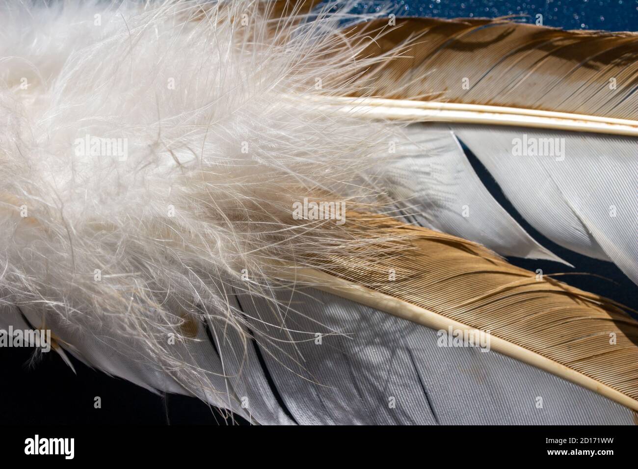 Full frame macro art abstract still life background of natural blue ...