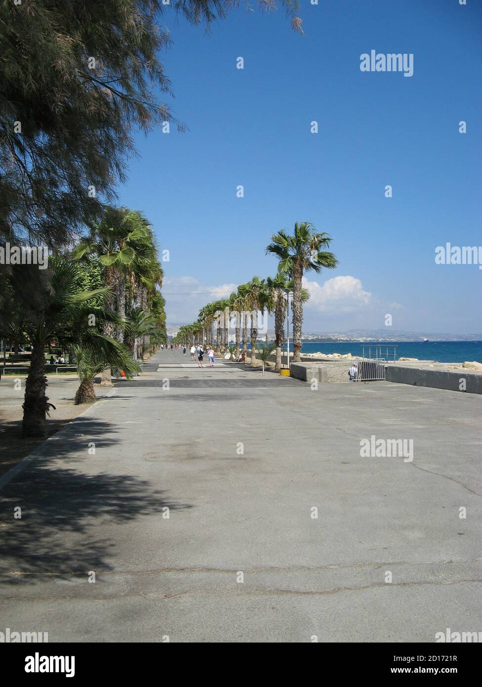 Limassol tree lined coastal promenade in Cyprus Stock Photo - Alamy