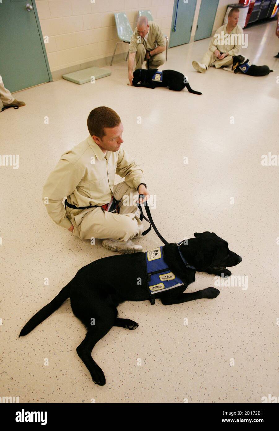 Prison train service dogs hi-res stock photography and images - Alamy
