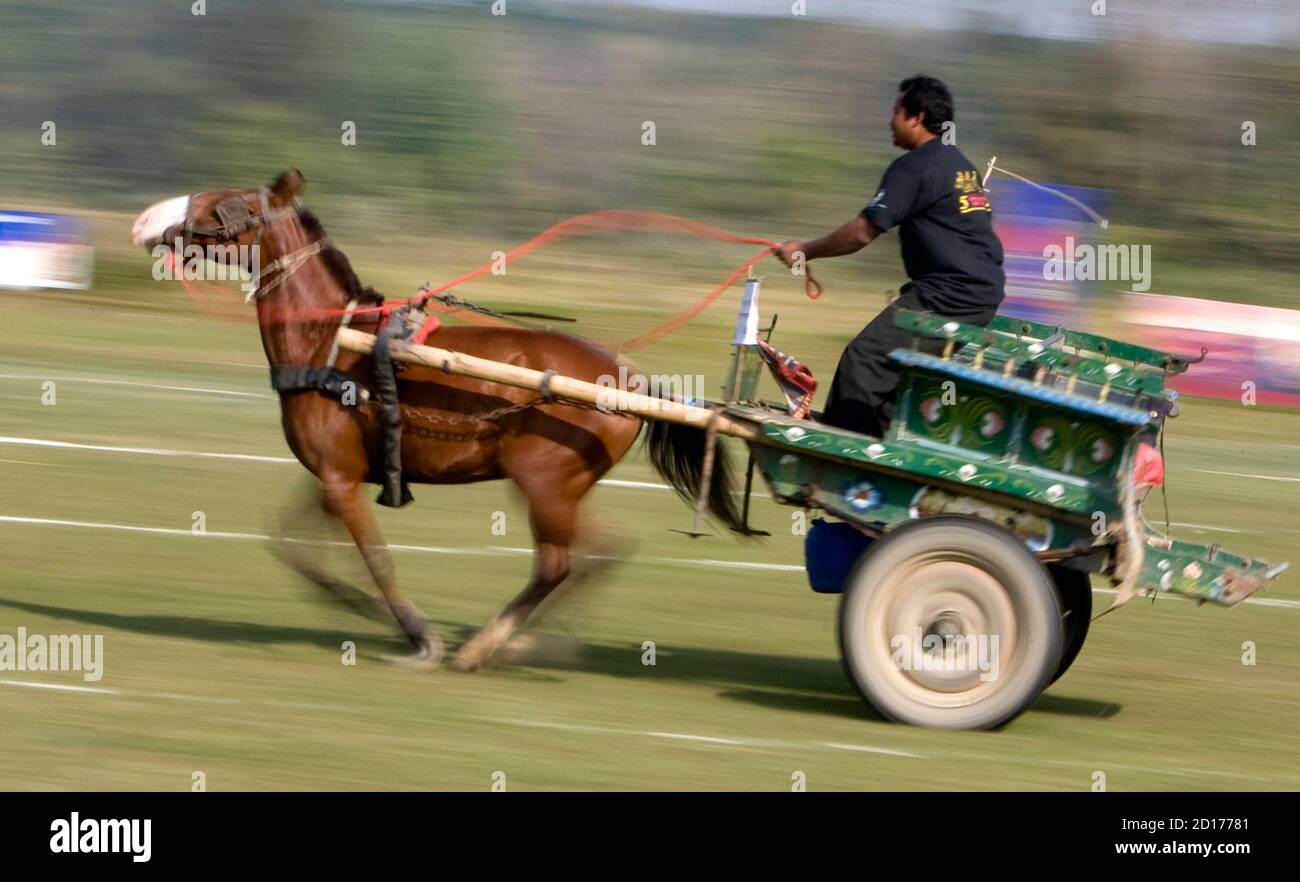 Elephant Race High Resolution Stock Photography and Images - Alamy