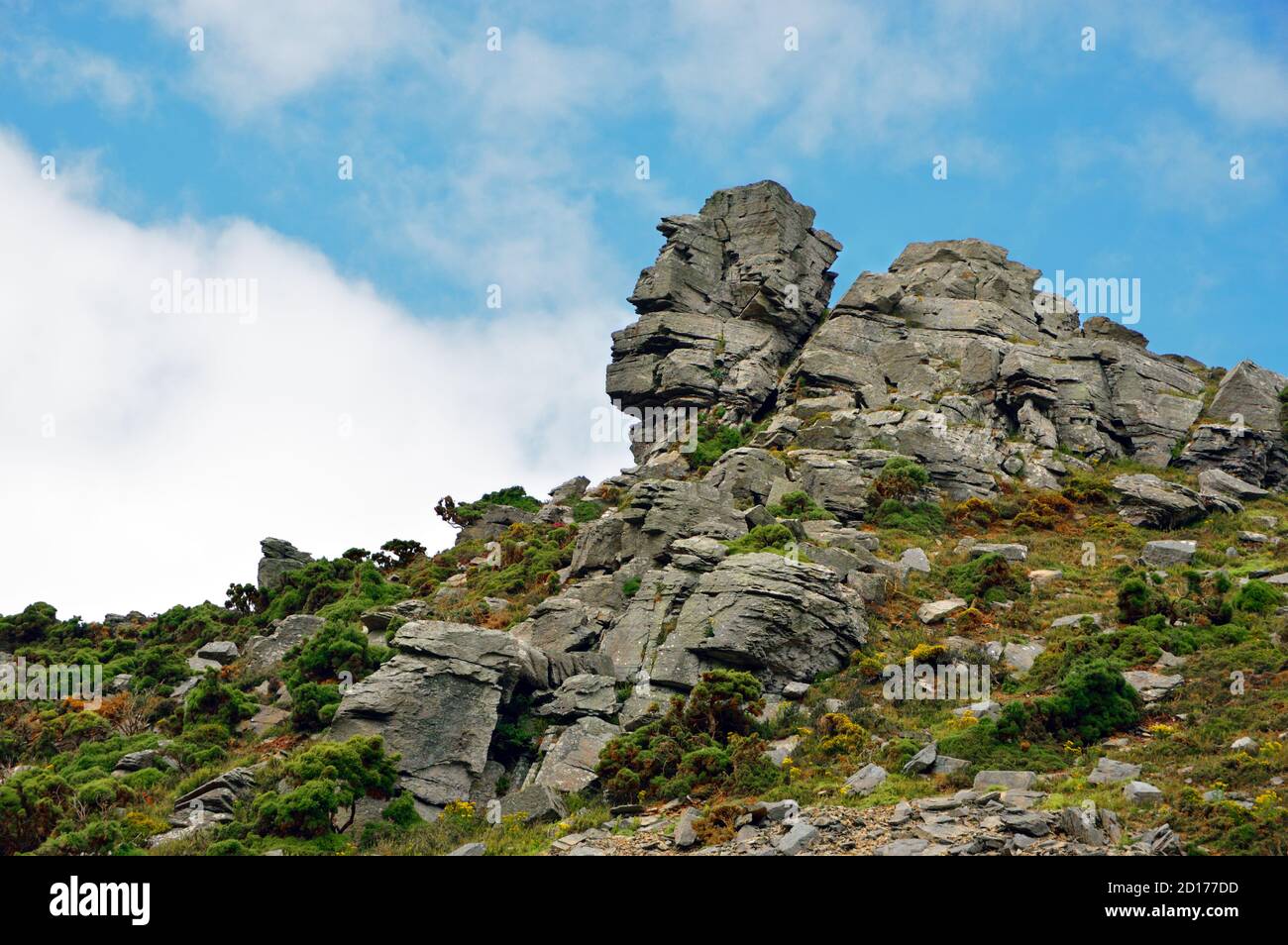 Valley of Rocks is a dry rocky valley on the north Devon coast. It is ...