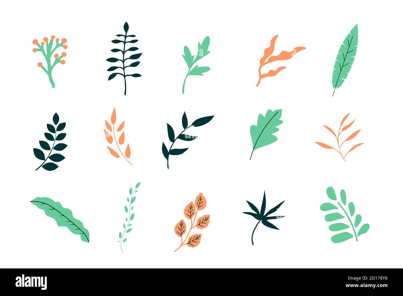 Simple isolated vector leaves set Stock Vector Image & Art - Alamy