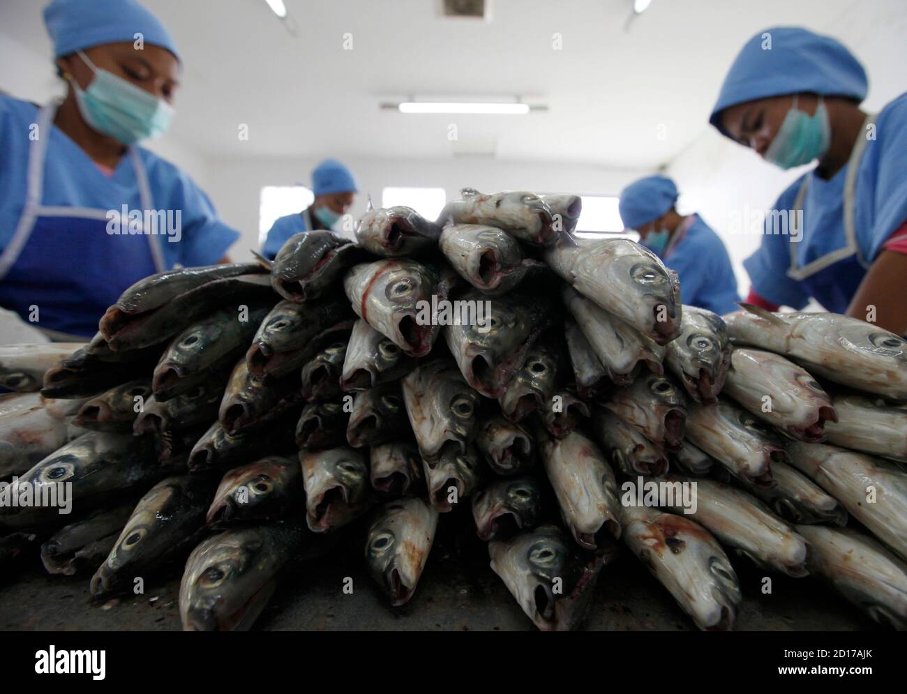 Boneless milkfish hi-res stock photography and images - Alamy
