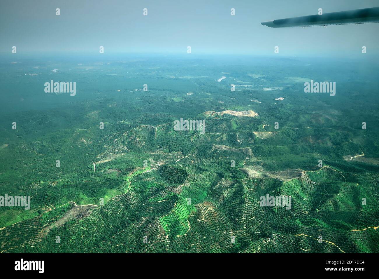 Aerial palm oil deforestation indonesia hi-res stock photography and ...