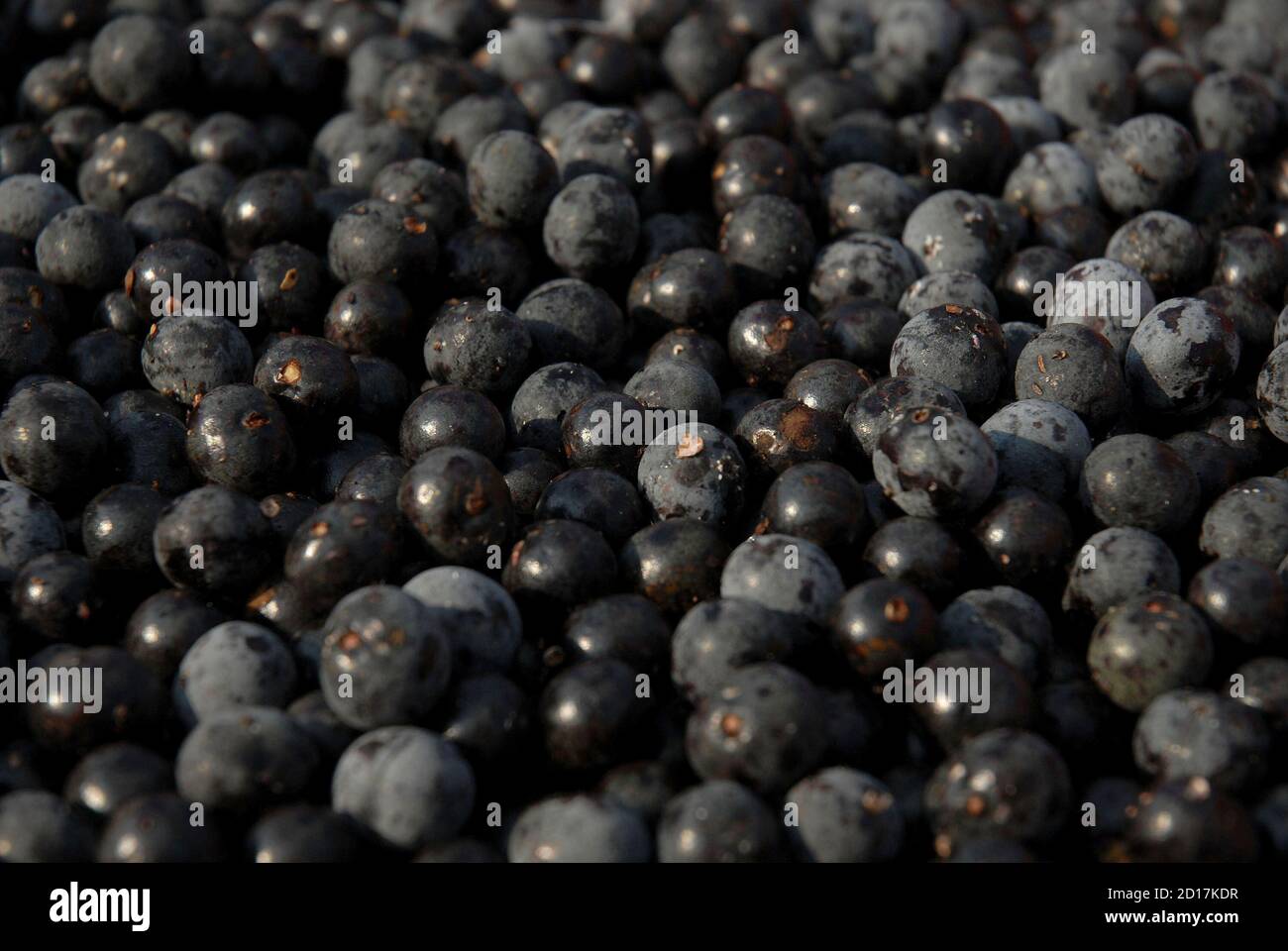 Acai baskets hi-res stock photography and images - Alamy