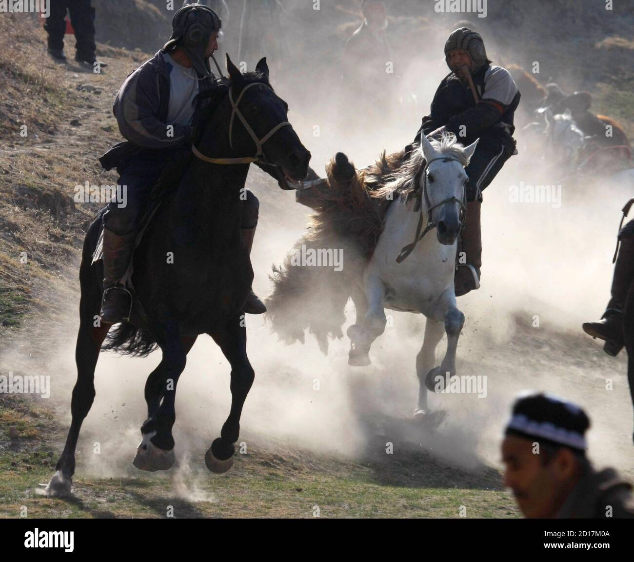 Goat attack hi-res stock photography and images - Alamy