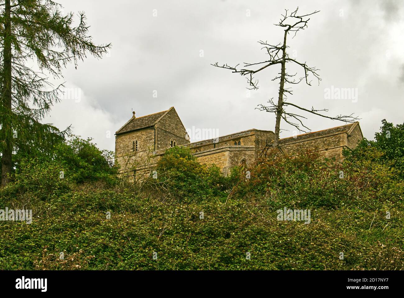Spooky building on hill with dead tree for Halloween Stock Photo - Alamy