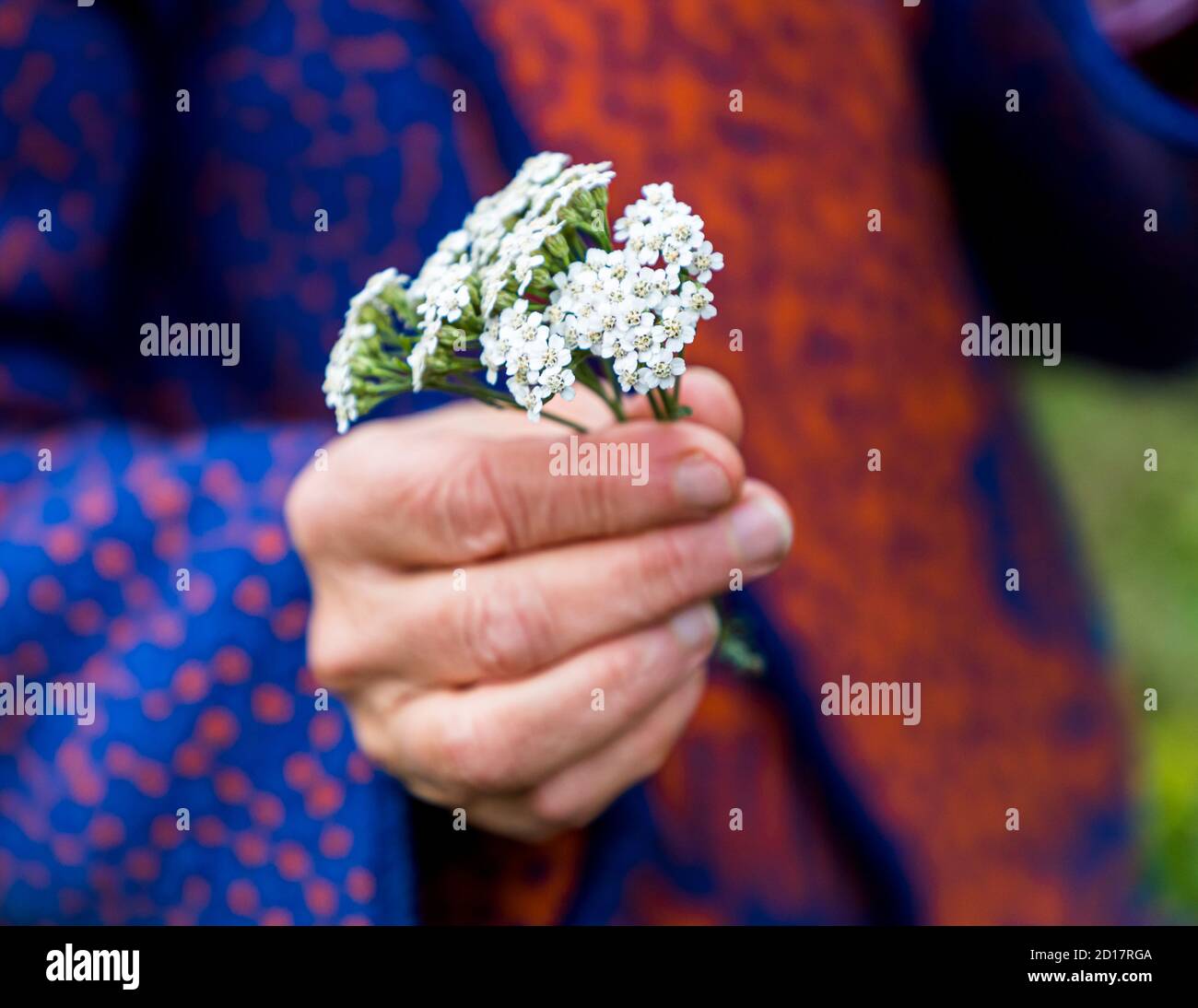 Guided herbal hike through Albinen in Valais, Switzerland Stock Photo ...