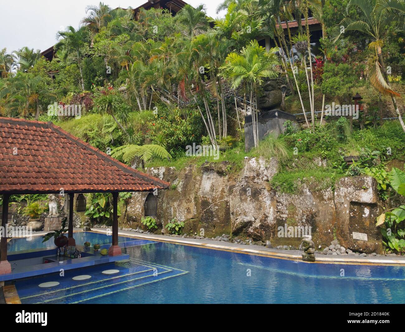 A tranquil and peaceful luxury pool with bar in Ubud, Bali, Indonesia ...