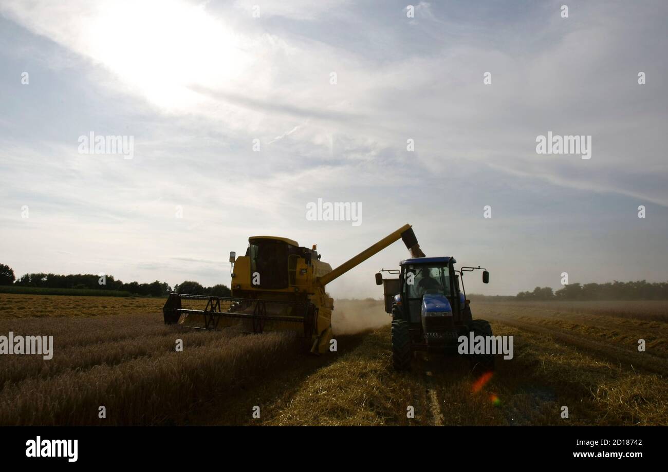 Agriculture in poland hi-res stock photography and images - Alamy
