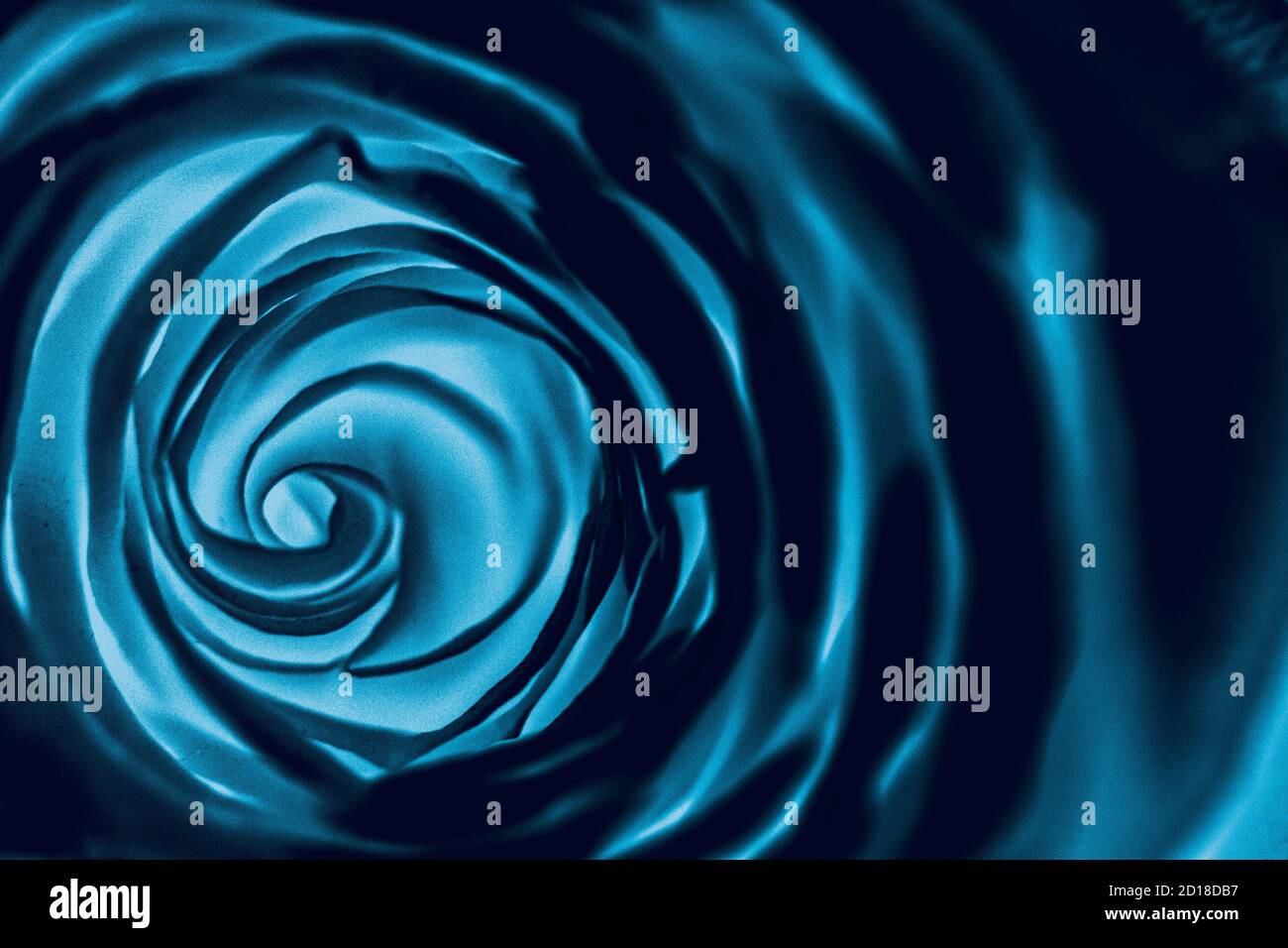 Fibonacci sequence nature hi-res stock photography and images - Alamy
