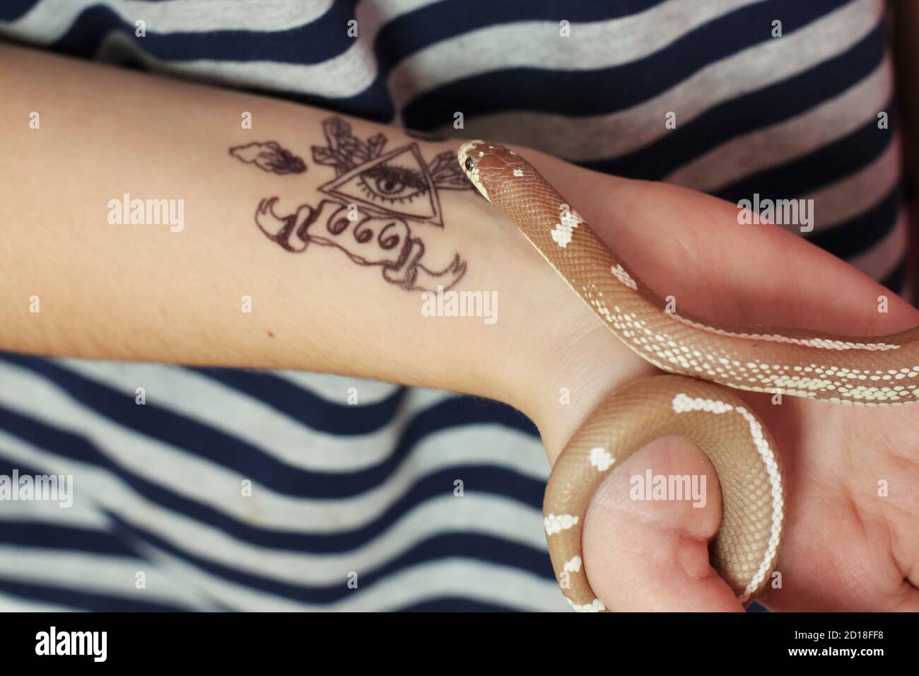 Snake tattoo hand hi-res stock photography and images - Alamy