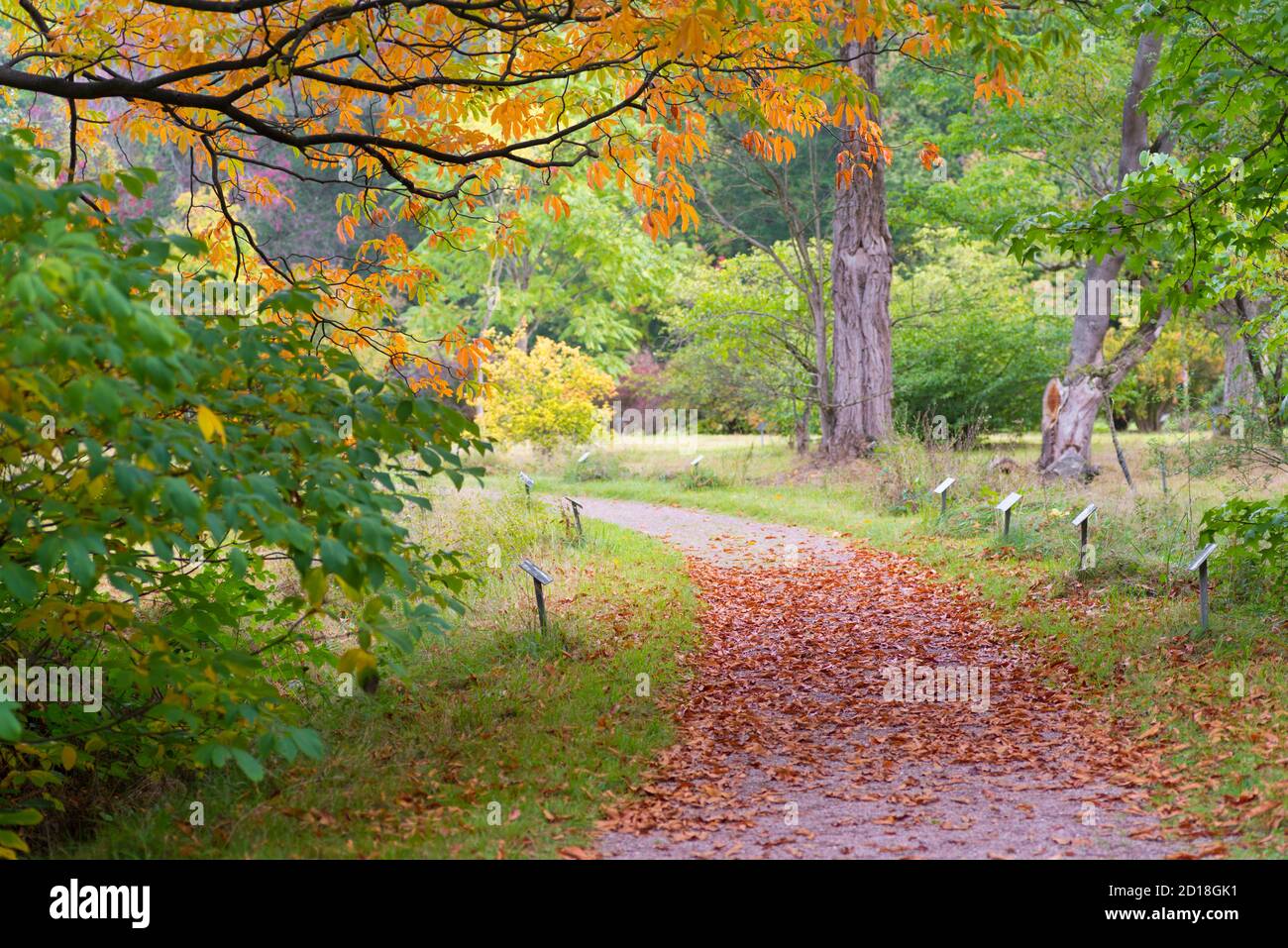 beautiful autumn colors in a park Stock Photo - Alamy