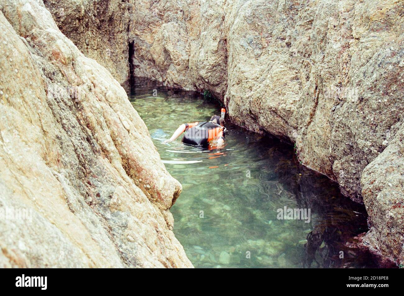 Eleven year old boy in a rockpool at Mouthwell beach, Hope Cove ...