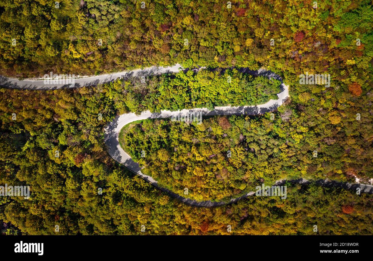 Curved winding road surrounded by forest in autumn. Aerial view of ...