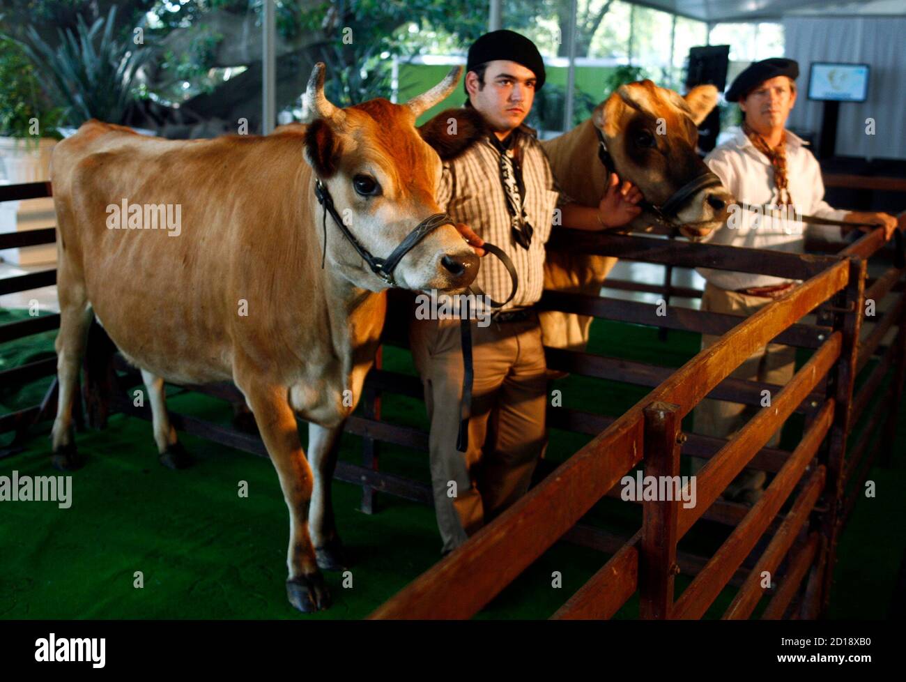 Transgenic animals hi-res stock photography and images - Alamy