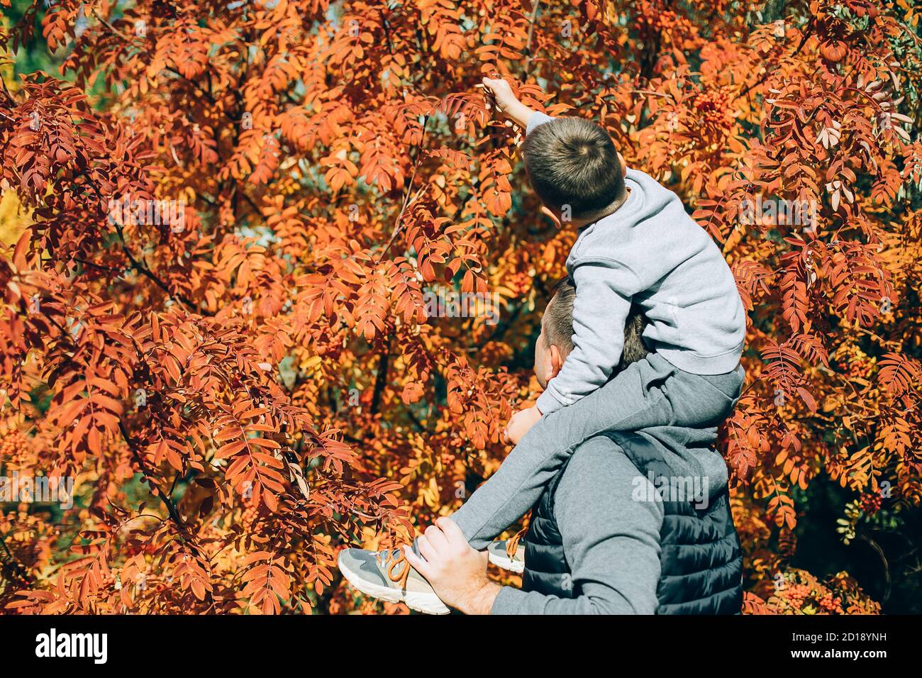 Happy father and son having fun in autumn park. Family, childhood ...