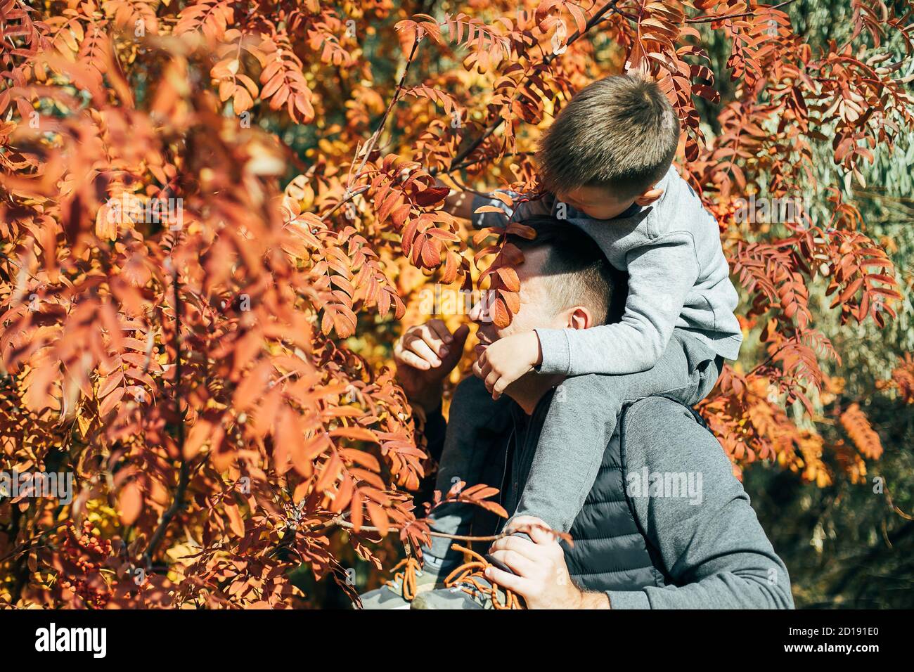 Happy father and son having fun in autumn park. Family, childhood ...