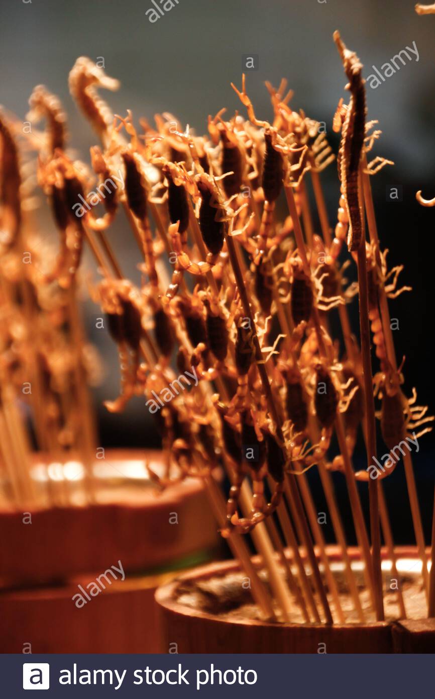 Insect Food China High Resolution Stock Photography and Images - Alamy
