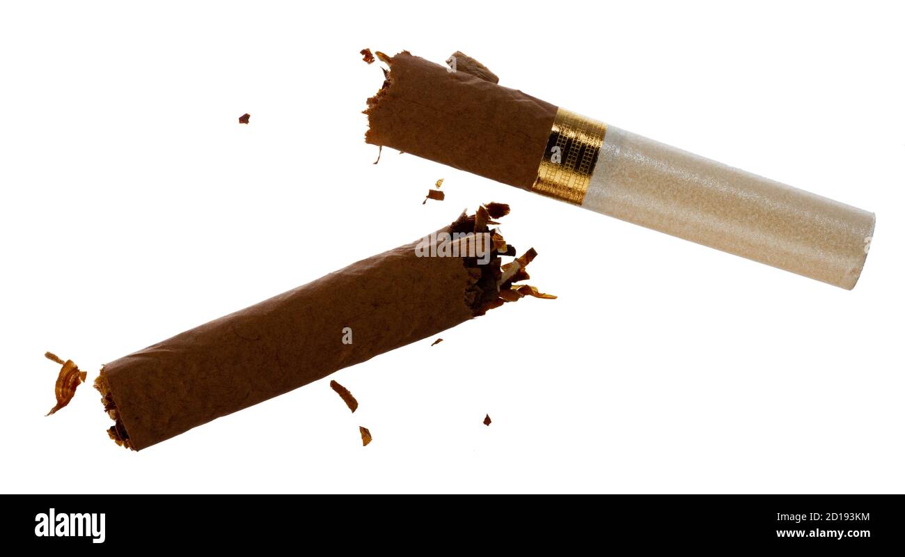 Broken cigarette isolated on white background close up Stock Photo - Alamy