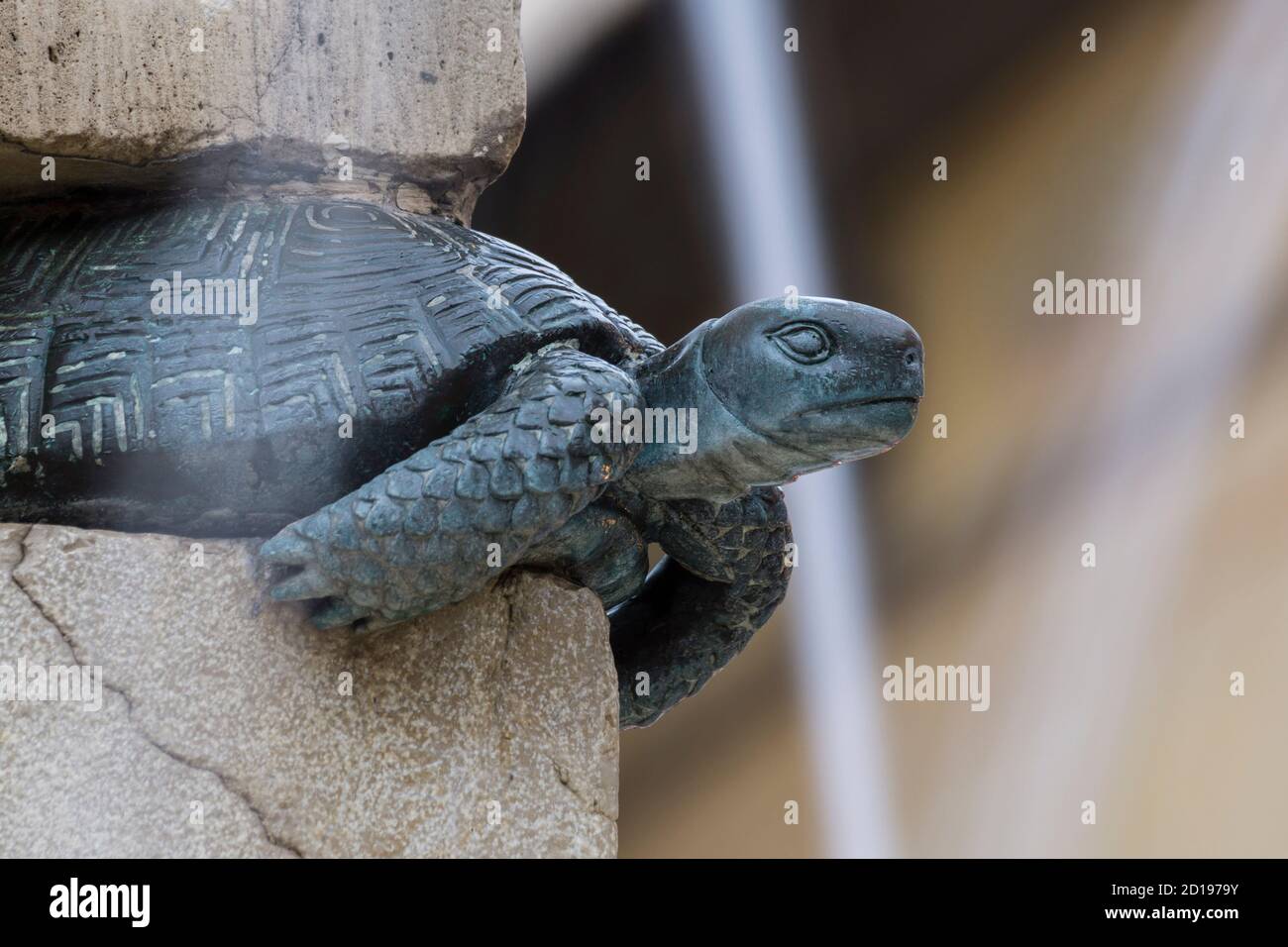 Font de ses tortugues hi-res stock photography and images - Alamy