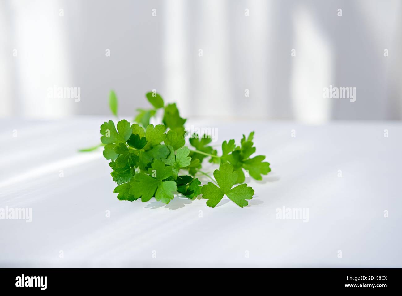 Cilantro source hi-res stock photography and images - Alamy