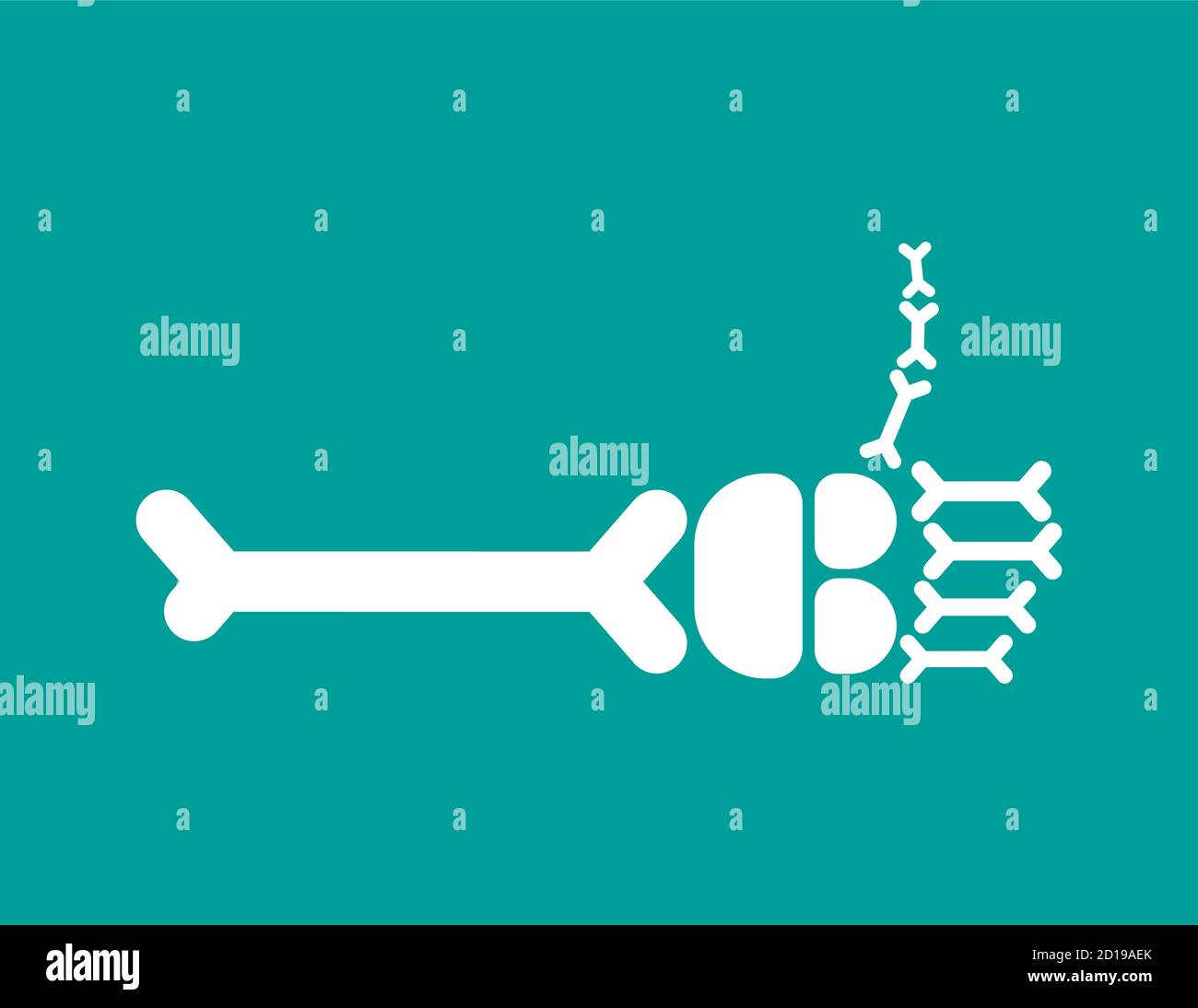 Thumbs up bone. Skeleton hand. vector illustration Stock Vector Image ...