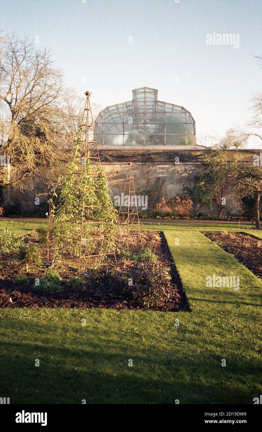 Botanical Gardens, Oxford Stock Photo - Alamy