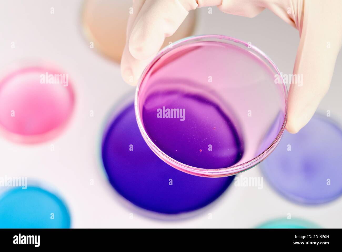 Bacterial growth tube hi-res stock photography and images - Alamy