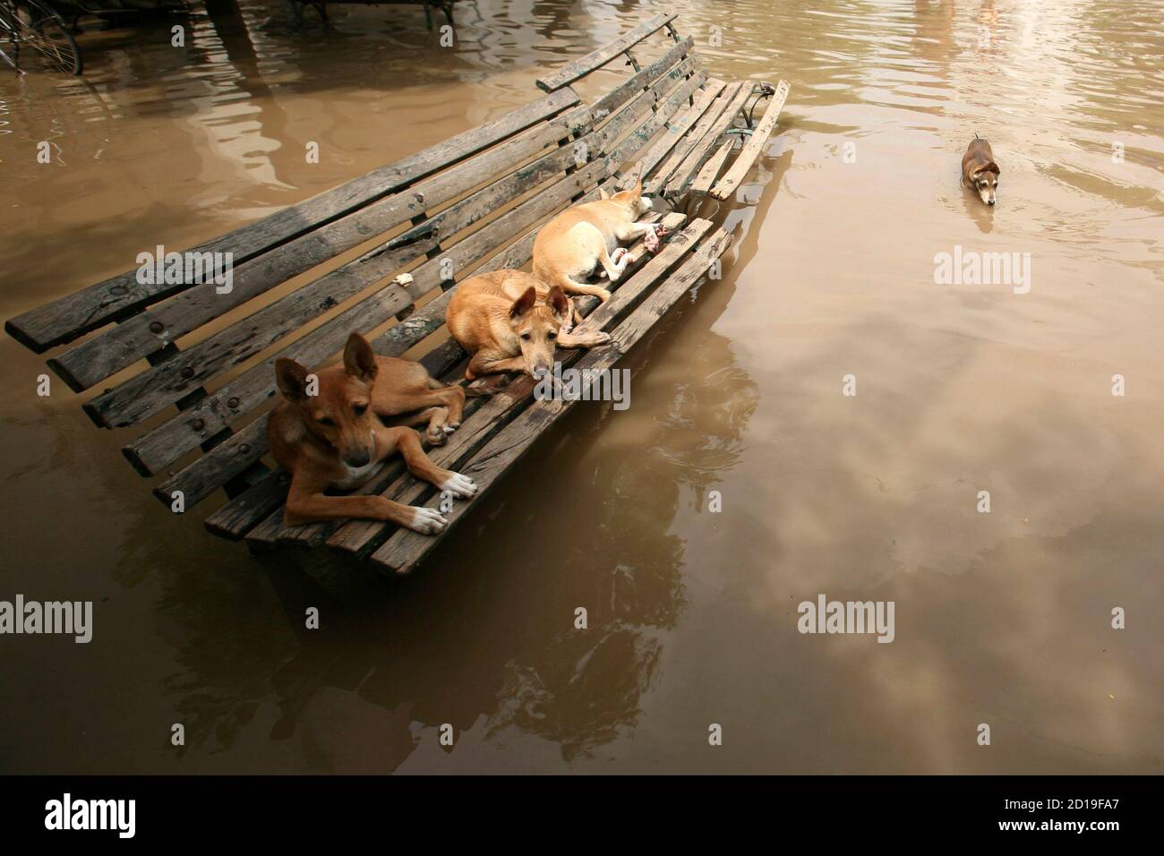 Monsoon india farm hi-res stock photography and images - Alamy
