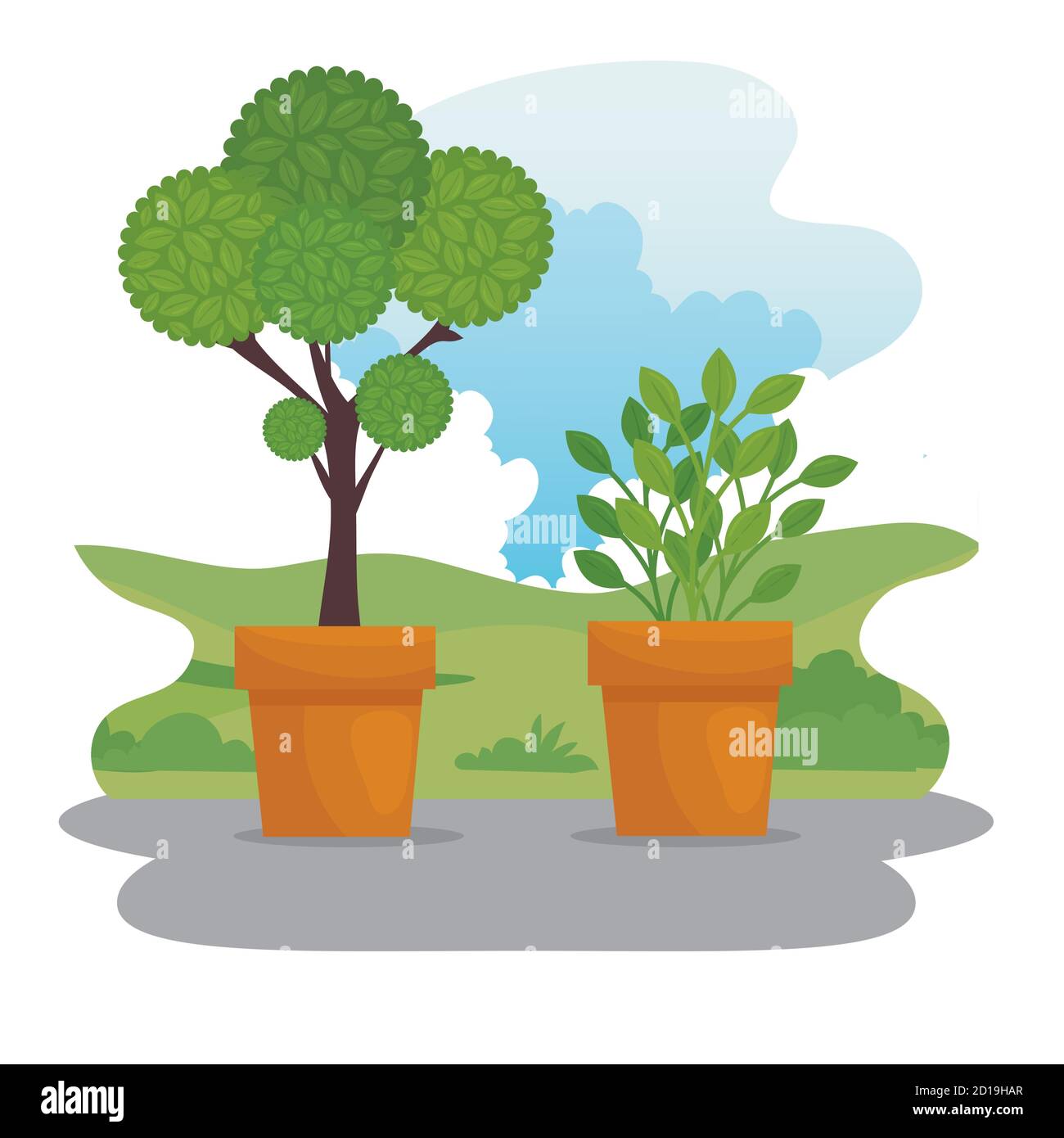 Gardening plants inside pots vector design Stock Vector Image & Art - Alamy