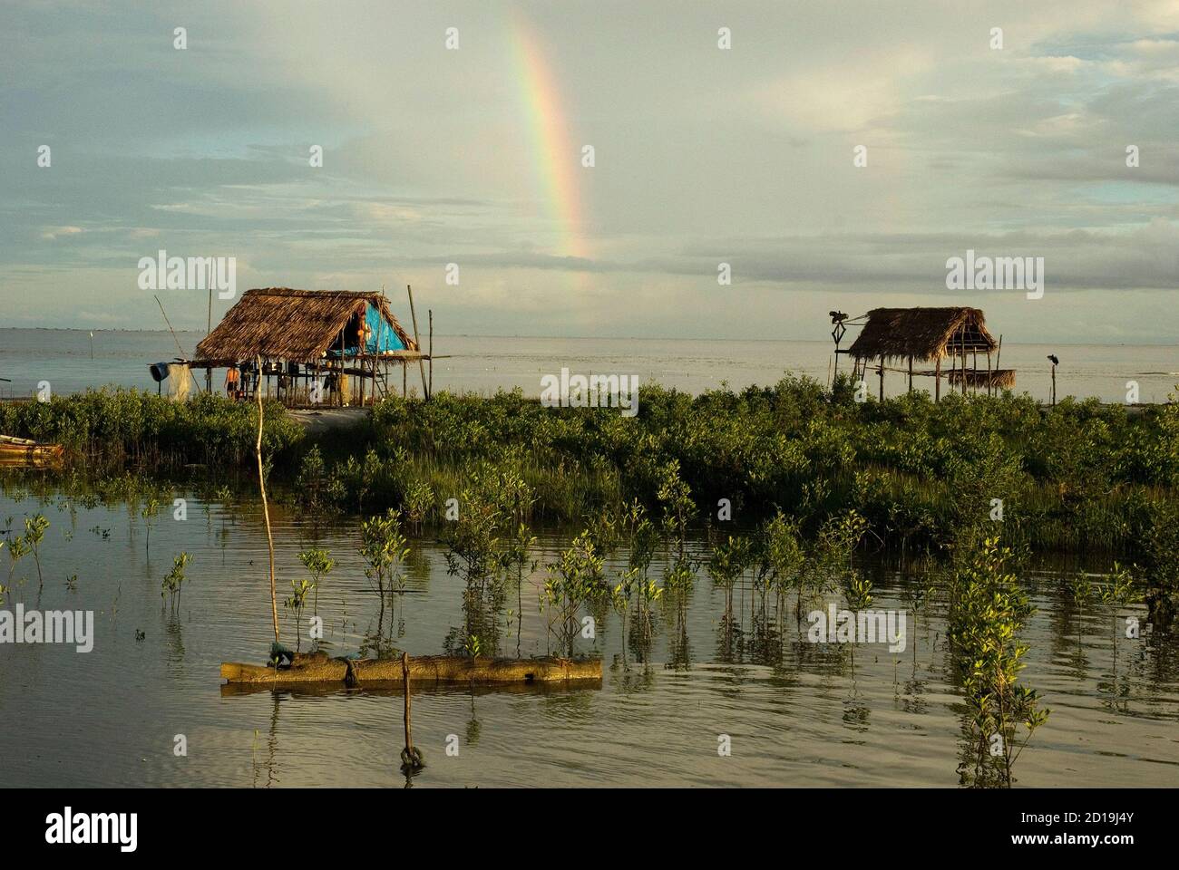 Mullet species hi-res stock photography and images - Alamy