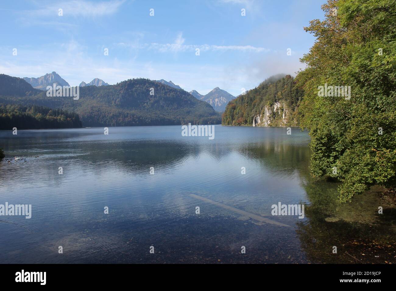 Beautiful scenery of a lake surrounded by greenery in Germany Stock ...