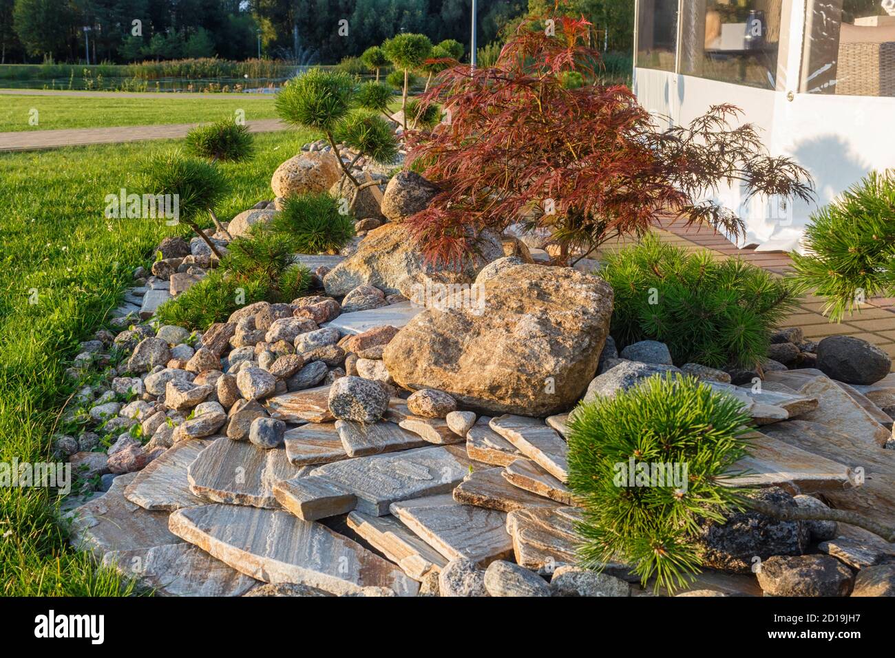 Decorative conifers hi-res stock photography and images - Alamy
