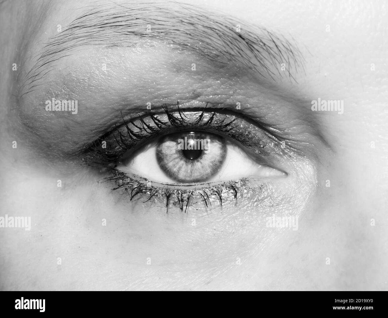 Visage eyebrow Black and White Stock Photos & Images - Alamy