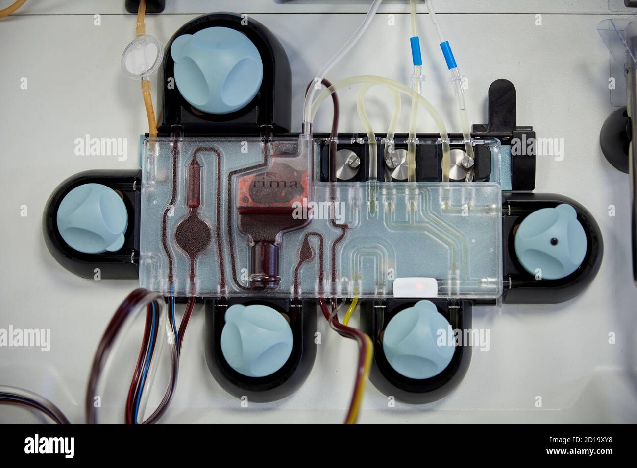 NHS blood donor centre Plasma donation, Plasma the largest single ...