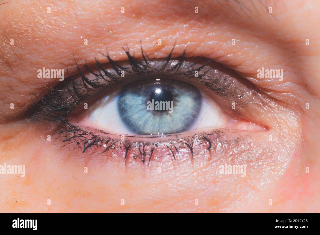 Black iris, eye hi-res stock photography and images - Alamy