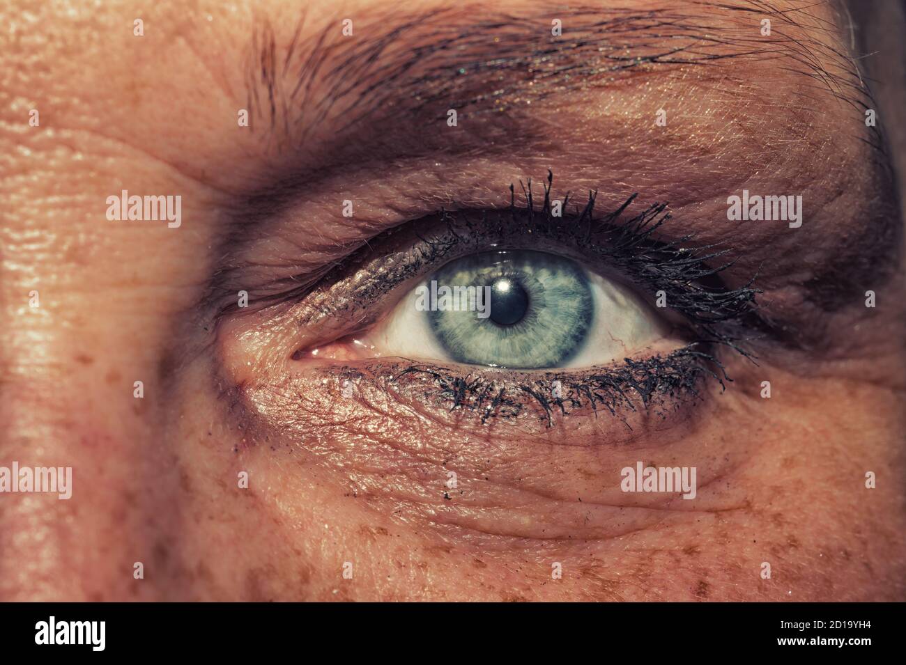 Eye freckle hi-res stock photography and images - Alamy