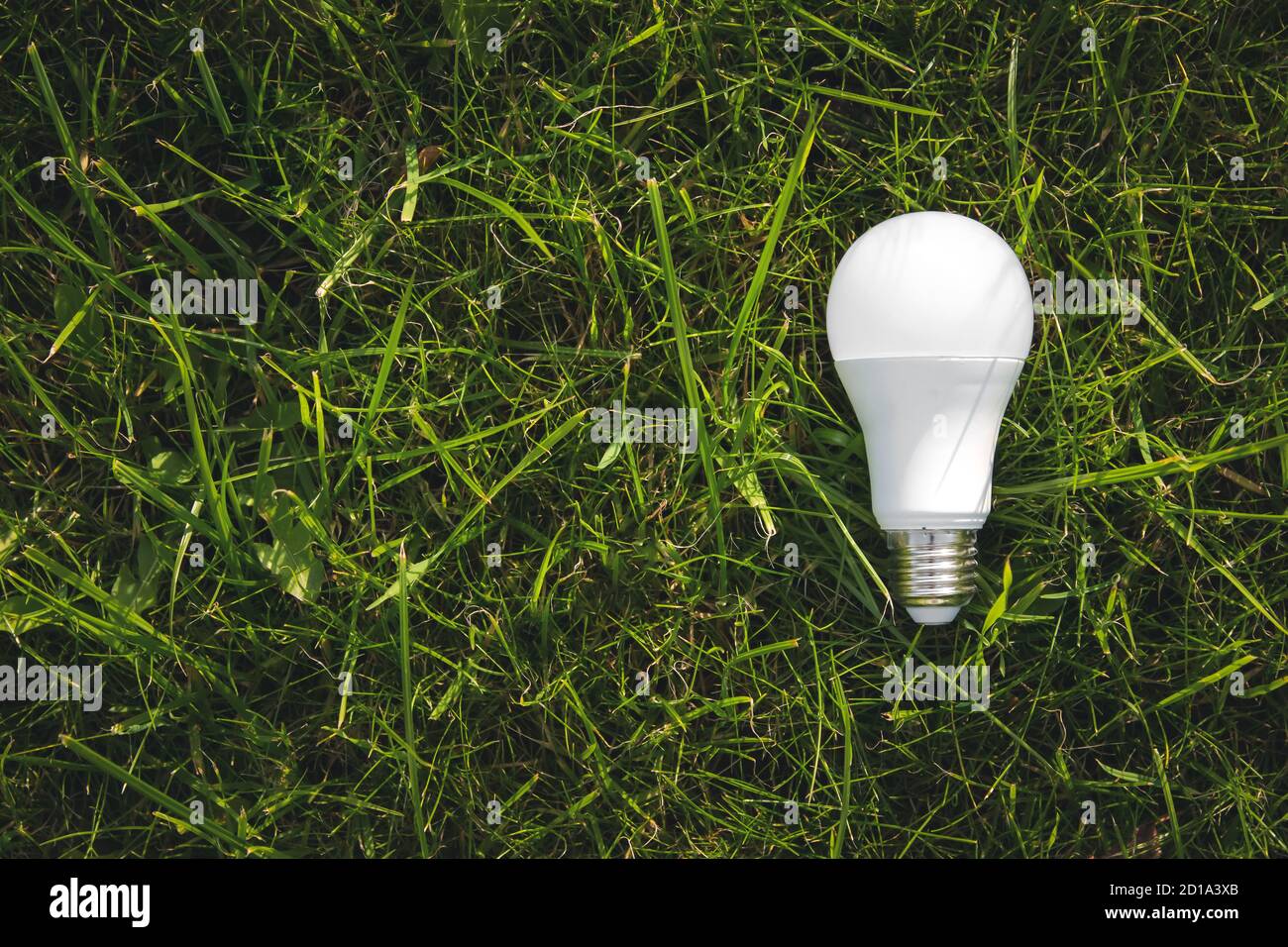 Eco concept - light bulb grow in the grass. Concept eco idea. Copy ...