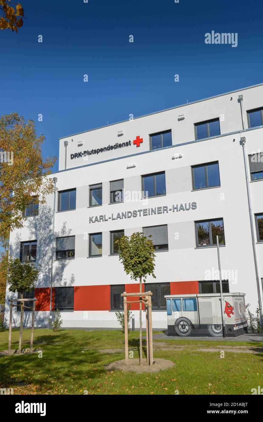 German Red Cross-blood donation service, Hindenburg's dam, to light ...