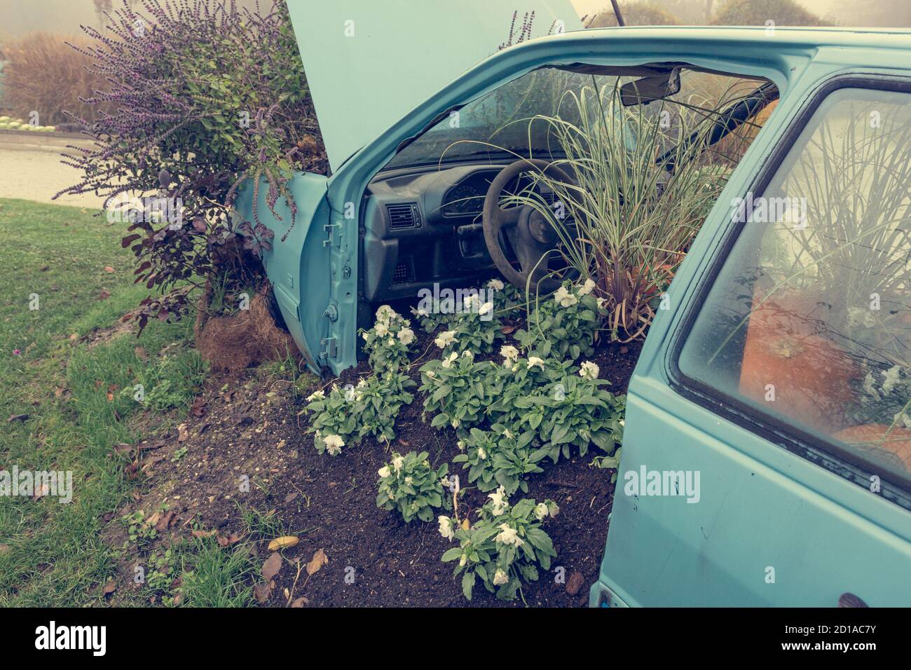Tree growing through old car hi-res stock photography and images - Alamy