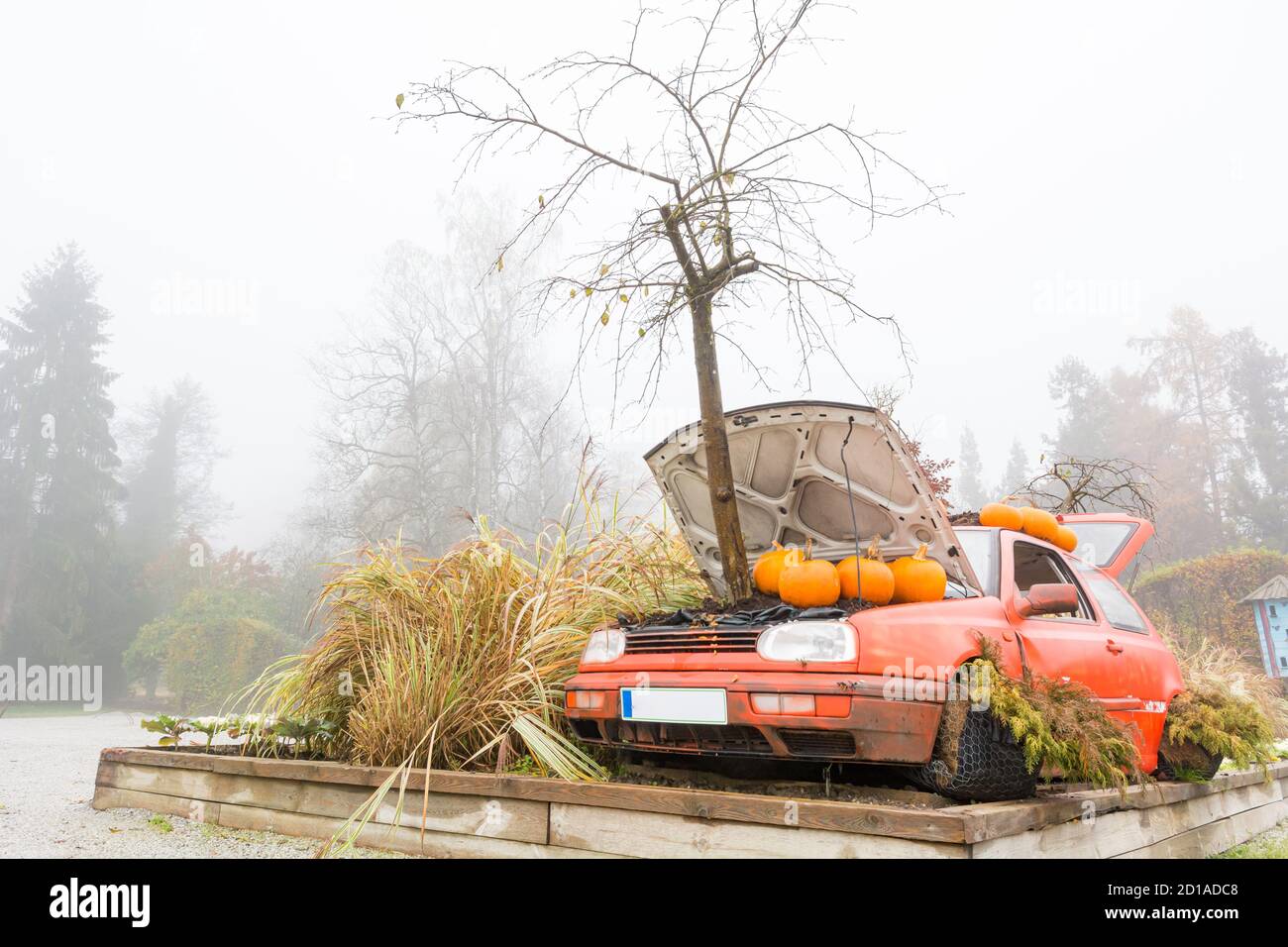 Tree growing through old car hi-res stock photography and images - Alamy