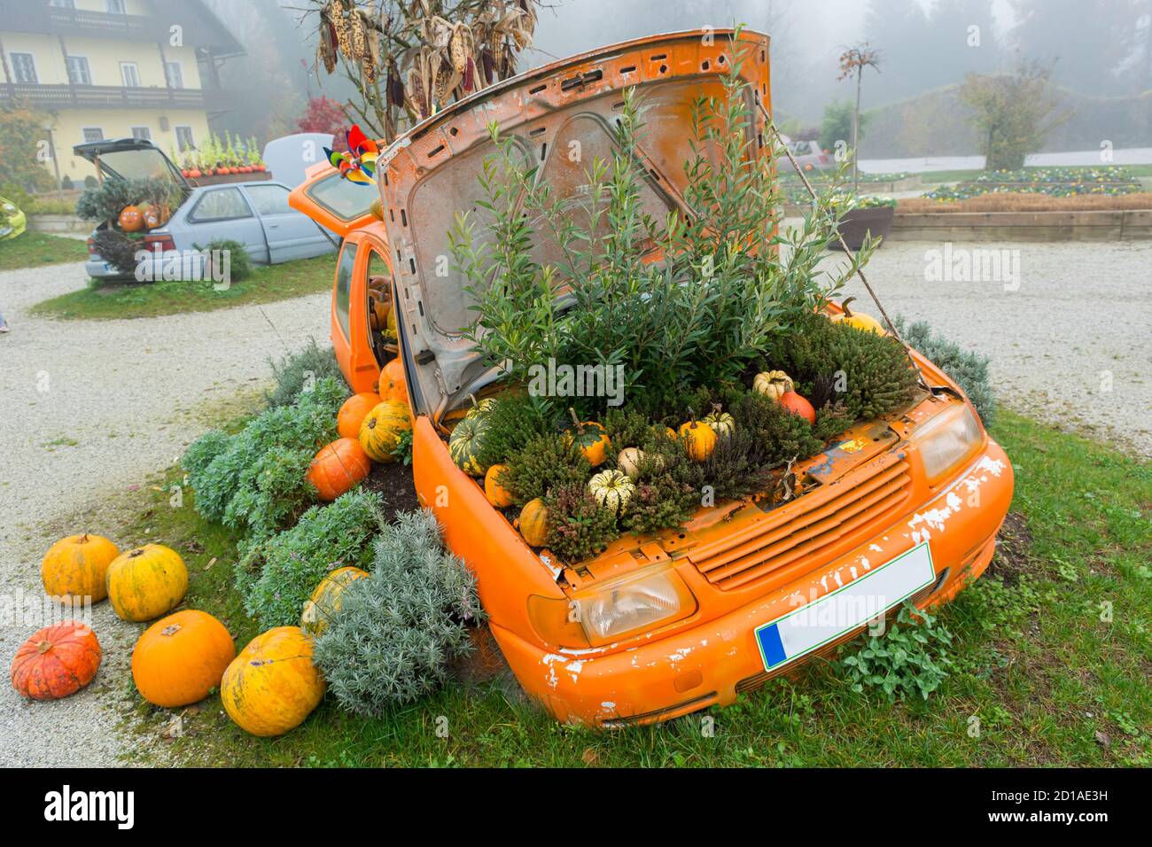 Tree growing through old car hi-res stock photography and images - Alamy