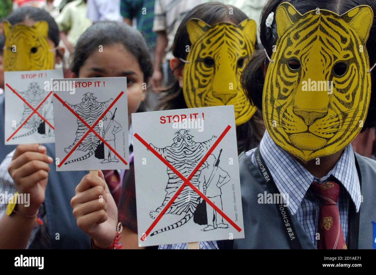 War against poaching hi-res stock photography and images - Alamy