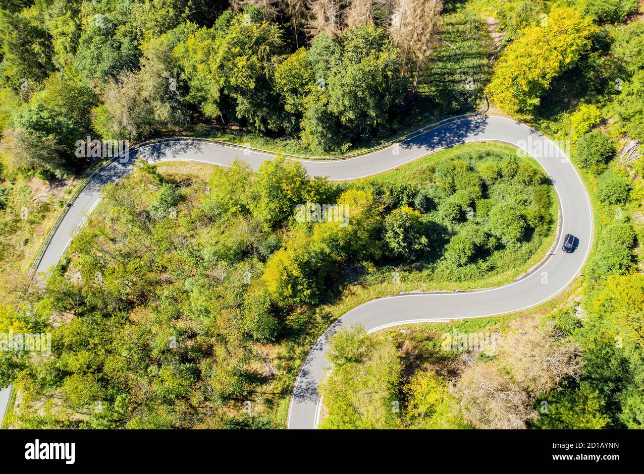 a car on a curvy forest road from above Stock Photo - Alamy