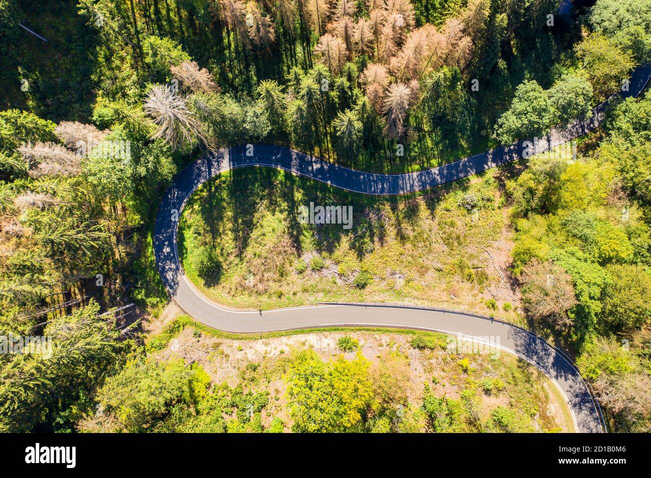 a curvy forest road from above Stock Photo - Alamy