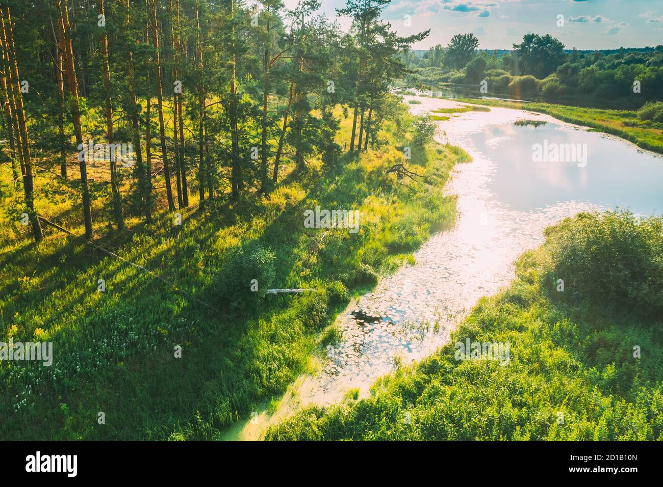 Grass Wetland Aerial