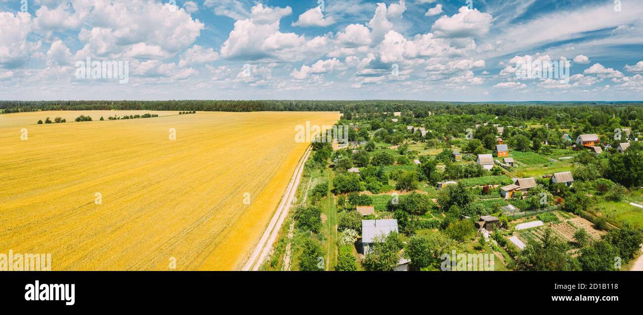Countryside Rural Landscape With Small Village, Gardens And Yellow ...
