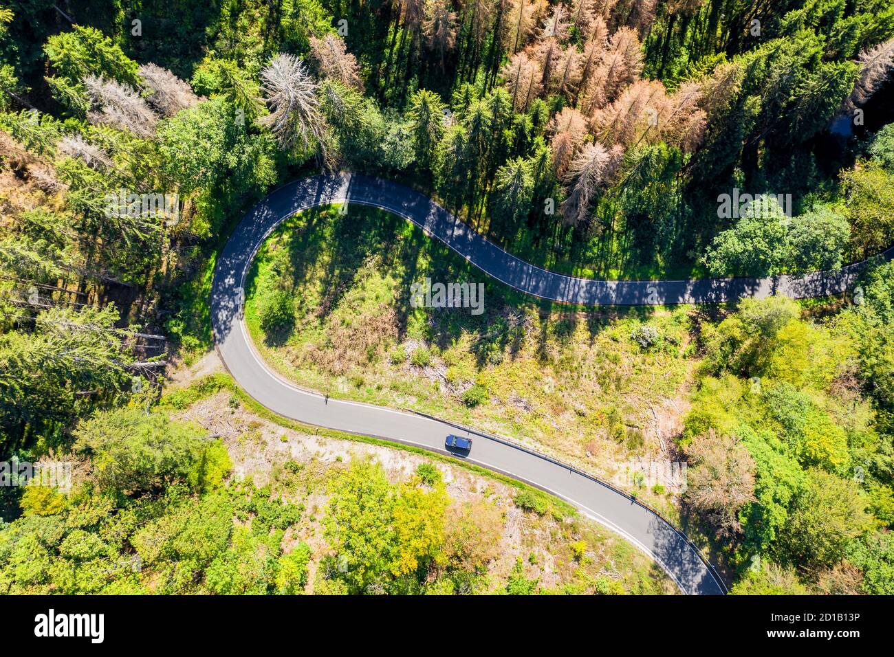 a car on a curvy forest road from above Stock Photo - Alamy